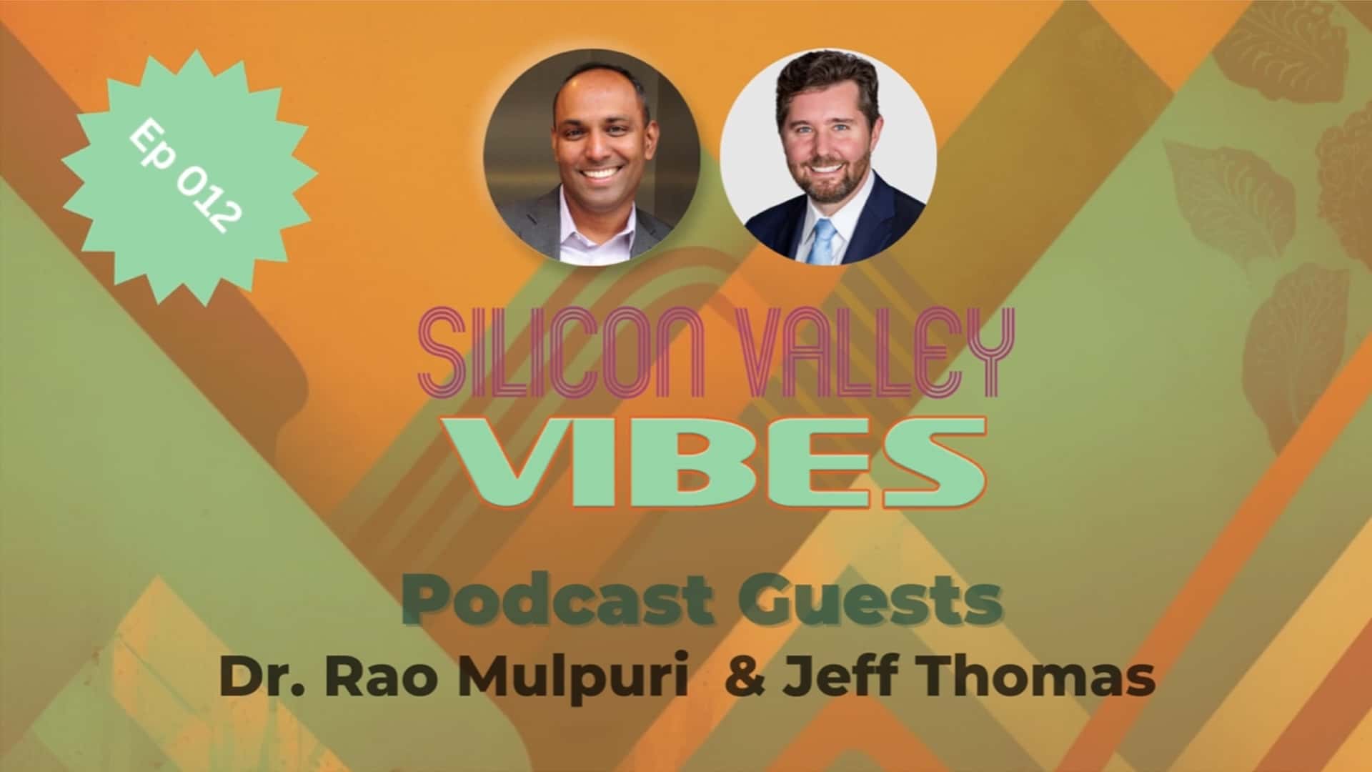 Silicon Valley Vibes E12: Jeff Thomas and Dr. Rao Mulpuri - Silicon ...